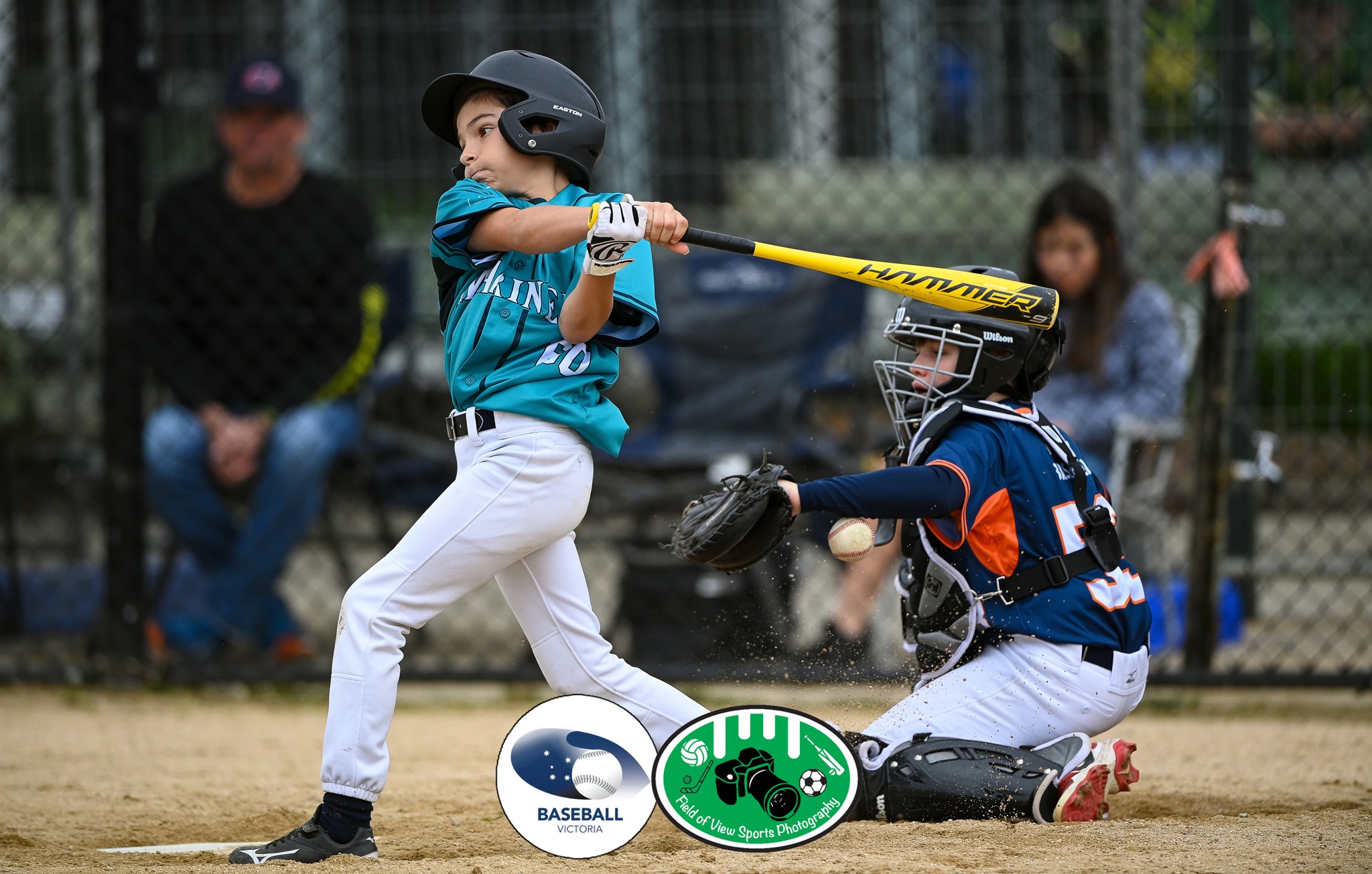 2025 Little League State Championships Registration Now Open - Baseball ...